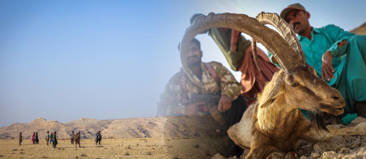 Huntourage | Hunters Without Borders