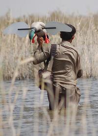 Pakistan Duck Hunting | Huntourage