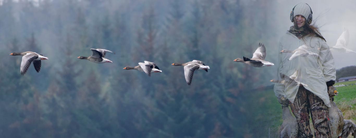 Sweden Goose Hunting | Huntourage
